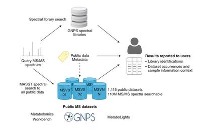 New Mass Spec Search Engine Brings Easy Access to Public Data
