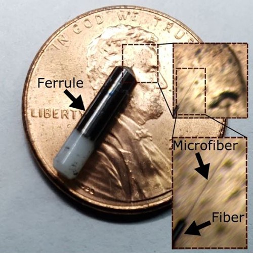 Ultra-thin, flexible probe provides neural interface that's minimally ...